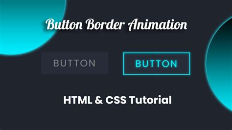 Button Border Animation On Hover Effects In HTML And CSS