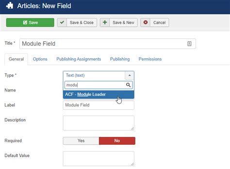 How To Load A Joomla Module As Custom Field