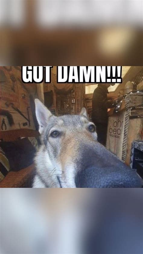 Goofy Ahh Images Memes Anime Funny Funny