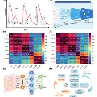 A Typical Pulse Wave Signals With Features Defined B Estimation Download Scientific Diagram