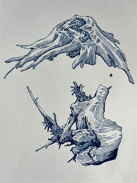 树根简笔画教程（推荐17张） 简笔画图片大全