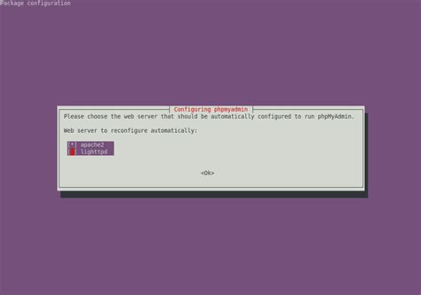How To Install LAMP Stack On Linux Mint CloudSpinx