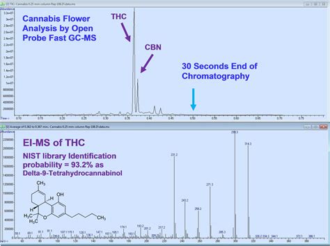 Advanced Gc Ms Blog Journal Open Probe Fast Gc Ms Real Time Analysis With Separation