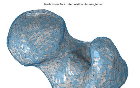 Generating A Simulation Mesh Of A Femur From 3d Data Comsol Blog
