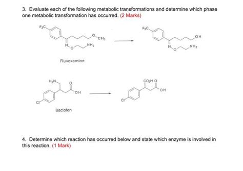 Solved 3 Evaluate Each Of The Following Metabolic