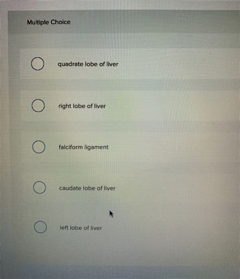 solved which structure is highlighted multiple choice o