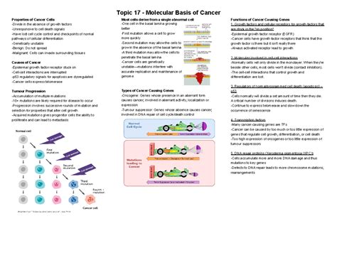 Biochem Cheat Sheet 17 Topic 17 Molecular Basis Of Cancer