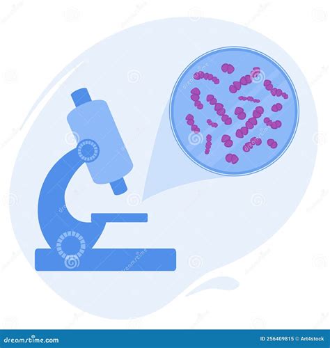 Streptococcus Cell Structures Anatomy And Morphology Cartoon Vector 186818303