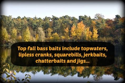 Bass Fishing Tips And Tales Favorite Fall Bass Baits