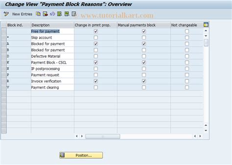 OB27 SAP Tcode C FI Maintain Table T008