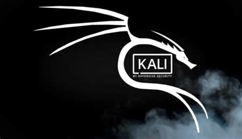 Do Your Kali Linux And Pentesting Projects Professionally By Mrexpert69 Fiverr