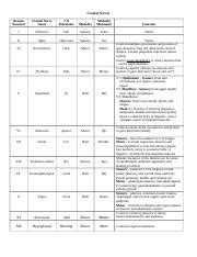 Lab Cranial Nerves Chart Revised Docx Cranial Nerves Roman Numeral Cranial Course Hero