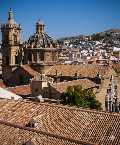 Diputación Y Ugr Renuevan El Convenio De Colaboración Para La Realización De Cursos