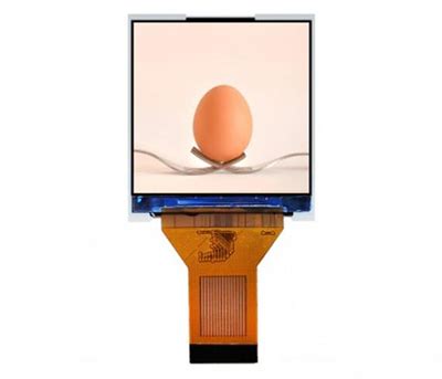 What Is LCD Vs LED Screen