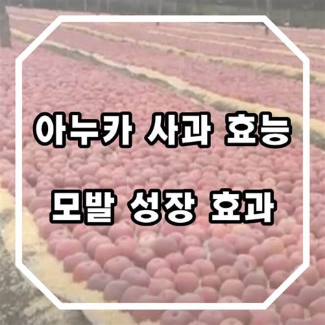 아누카 사과 효능 및 탈모에 좋은 이유