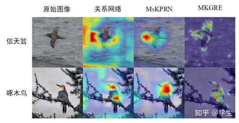 多尺度知识引导局部增强的小样本细粒度图像分类方法 知乎
