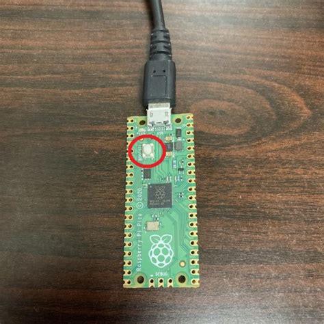CircuitPythonでRaspberry Pi PicoをプログラミングLチカ くりぱぱの森