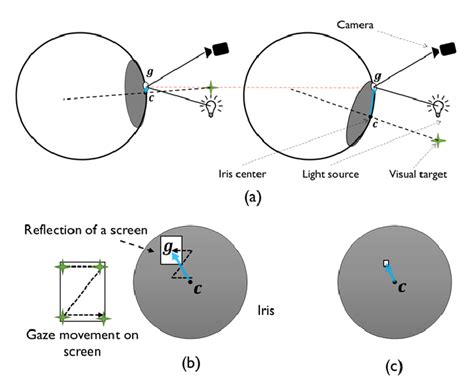 Gaze Estimation Based On Corneal Reflection And Iris Center The Gray Download Scientific