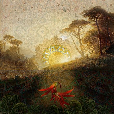 Tapestry Sunrise Digital Art By Helen Passey Fine Art America