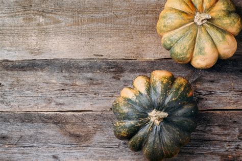 나무 배경에 유기농 가을 호박 맨 위 보기입니다 공간을 복사합니다 가을 수확 박람회 추수 감사절 골드 아늑한 가을 10월에 대한 스톡 사진 및 기타 이미지 Istock