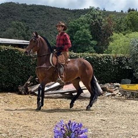 Variel Sanchez Contact Info Find Influencer Numbers Address Email In 1 Influencer Marketing