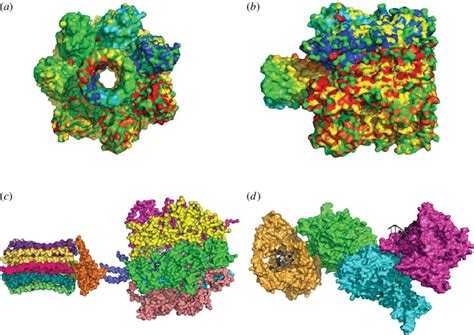 Some Macromolecules Used In Experimental Approaches To The Synthesis Of