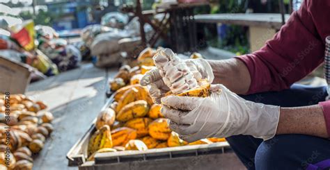 Workers Prepare Fresh Cocoa Pods Before Fermentation Fresh Peeled Cocoa Pods In Farmer Hands