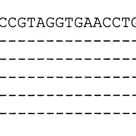 alignment of 3 prime end of small subunit ssu ribosomal dna rdna to