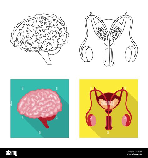 Vector Vectors Stock Vector Image And Art Alamy