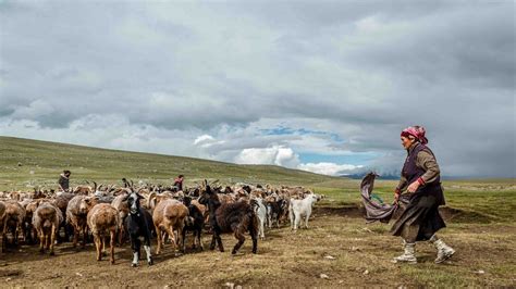 Chùm ảnh Cuộc Sống Của Những Người Du Mục Kazakh ở Mông Cổ