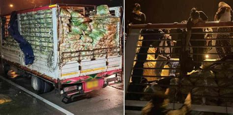 သီးနှံများ တင်ဆောင်လာသော ကားဖြင့်ခိုးဝင်လာသည့် မြန်မာနိုင်ငံသား ၅၃ ဦးကို ဖမ်းဆီးခဲ့ဟု ထိုင