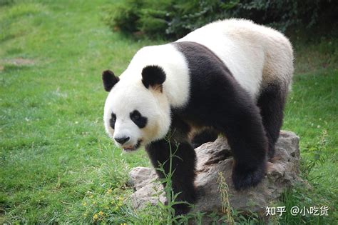 安全编程实践:如何防止web应用程序受到sql注入攻击? 知乎 安全编程实践:如何防止web应用程序受到sql注入攻击? 知乎