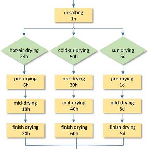 The Whole Stage Of Processing Yellow Rectangles Represent The Sampling