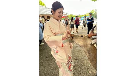 เช่าชุดกิโมโนฟูจิ เกียวโต แผนการจอง แนะนำสำหรับงานแต่งงาน พิธีเข้าชิจิโกซัง Kkday