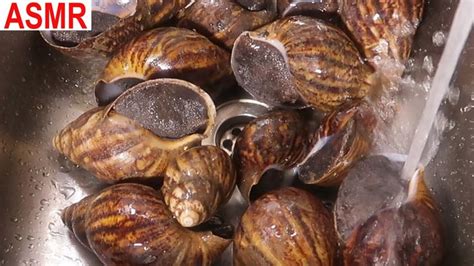 How To Clean Snails Easily