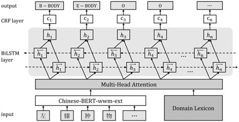 医学文本命名实体识别方法及系统 医学文本命名实体识别方法及系统