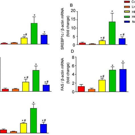Quantitative Reverse Transcription Polymerase Chain Reaction Analysis