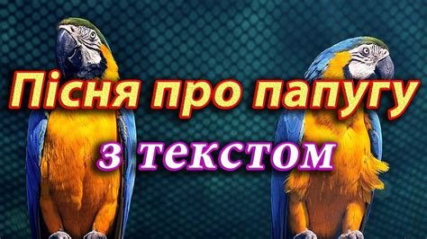 Пісня про папугу з текстом Youtube