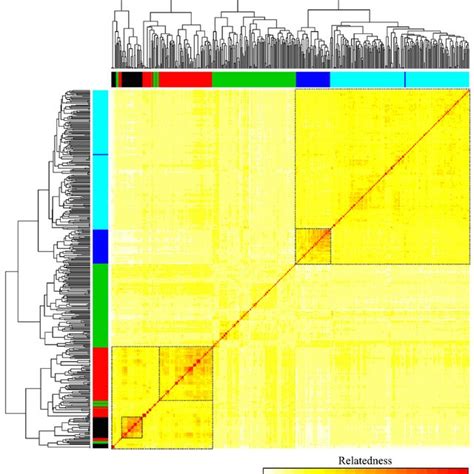 heat map of relatedness among 450 genotypes dendrograms were plotted