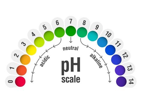 How To Maintain Balanced Vaginal PH Harcourt Health