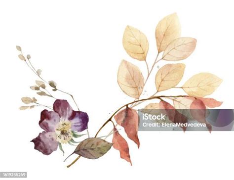 밝은 가을 꽃과 단풍이 있는 수채화 벡터 배열 추수 감사절 장식 추수 감사절 청첩장 인사말 카드에 적합합니다 손으로 그린 그림입니다 예술에 대한 스톡 벡터 아트 및 기타