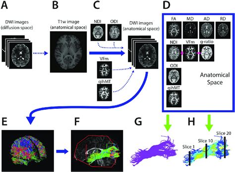 Processing Pipeline To Prepare Imaging Data For Principal Component