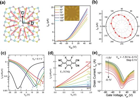 Electrical Property And Modulation Of Pentagonal 2d Materials A