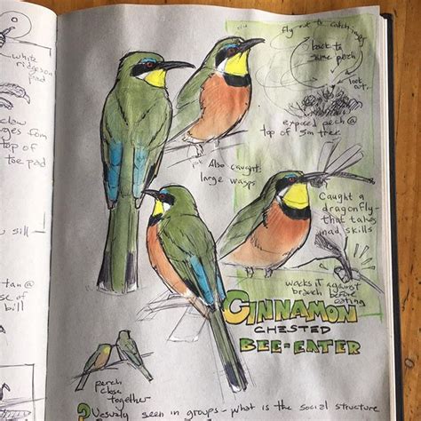 How To Draw Trees Conifers Artofit