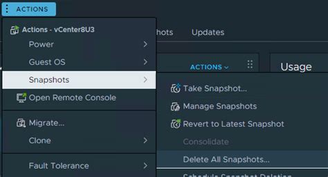 Reset VMware VCenter Root Password TheDXT
