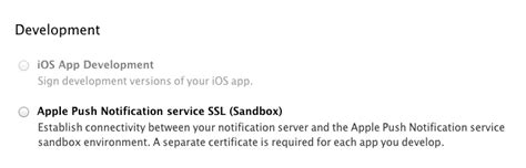 keychain io ios app development option greyed out stack overflow