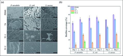 In Vitro Antibacterial Properties Of Different Surfaces A Sem Images