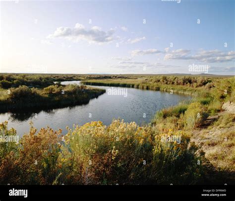 Silver Creek Malheur National Wildlife Refuge Harney County Eastern