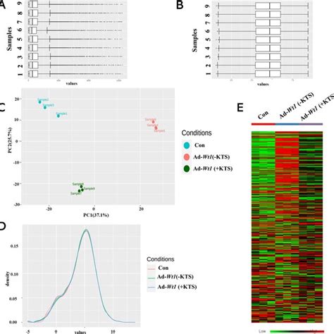 Networkanalyst Analysis Of Hosepic Sequencing Data Transcriptome Of Download Scientific