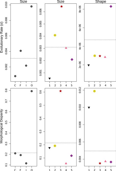 Evolutionary Rates σ Above And Morphological Disparity Below Of